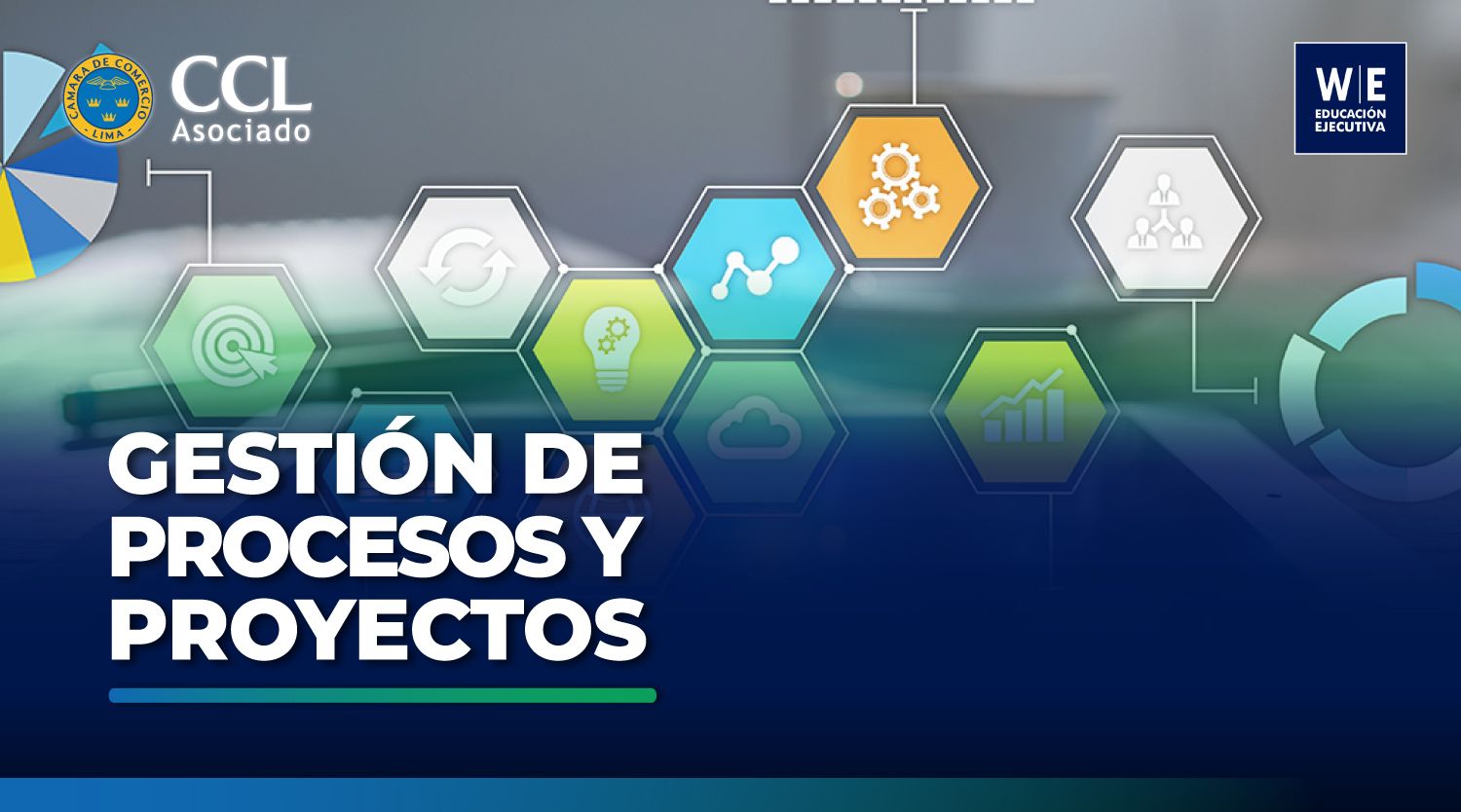 Cursos Gestión de Procesos y Proyectos